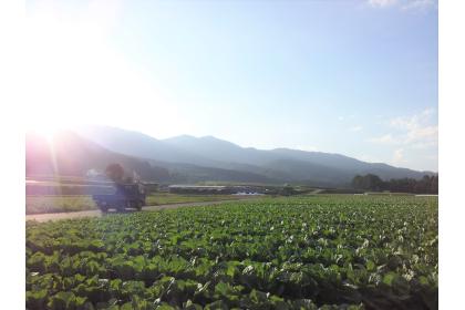 第36回やぶはら高原はくさいマラソン - RUNNET ランネット・大会ガイド&エントリー