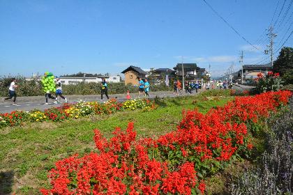 第35回信州須坂ランニングフェス - RUNNET ランネット・大会ガイド&エントリー