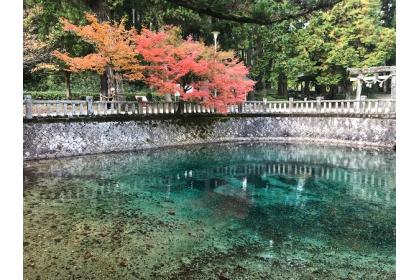 Mine秋吉台ジオパークウルトラマラソン2024 - RUNNET ランネット・大会ガイド&エントリー