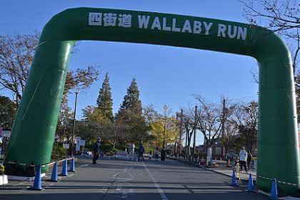 第3回四街道WALLABY RUN - RUNNET ランネット・大会ガイド&エントリー