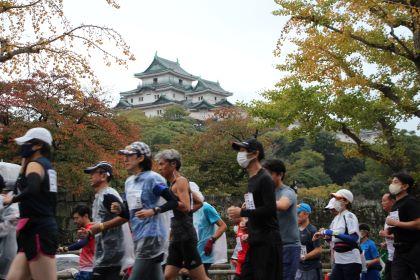 第23回和歌山ジャズマラソン - RUNNET ランネット・大会ガイド&エントリー