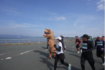 三遠ネオフェニックスRUN 第43回 豊橋みなとシティマラソン - RUNNET ランネット・大会ガイド&エントリー